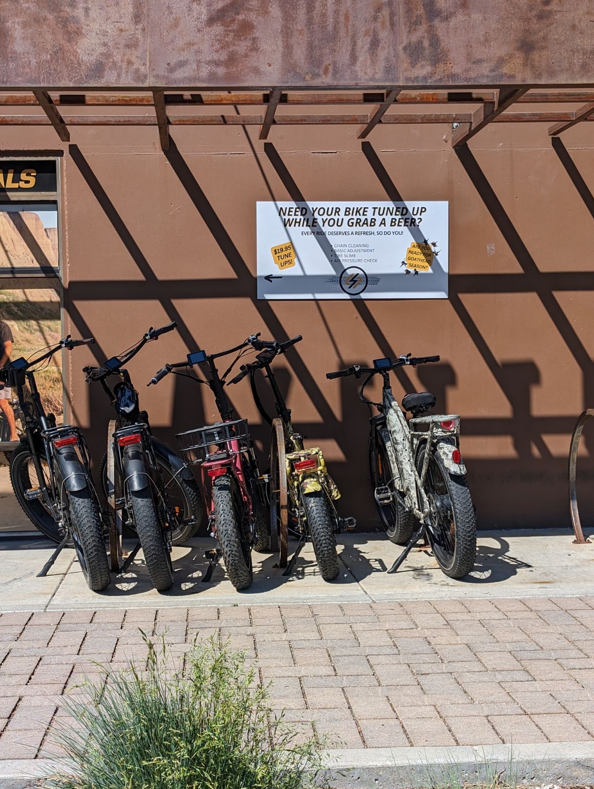Rental/Demo Bike – Sunrise Electric Bicycles